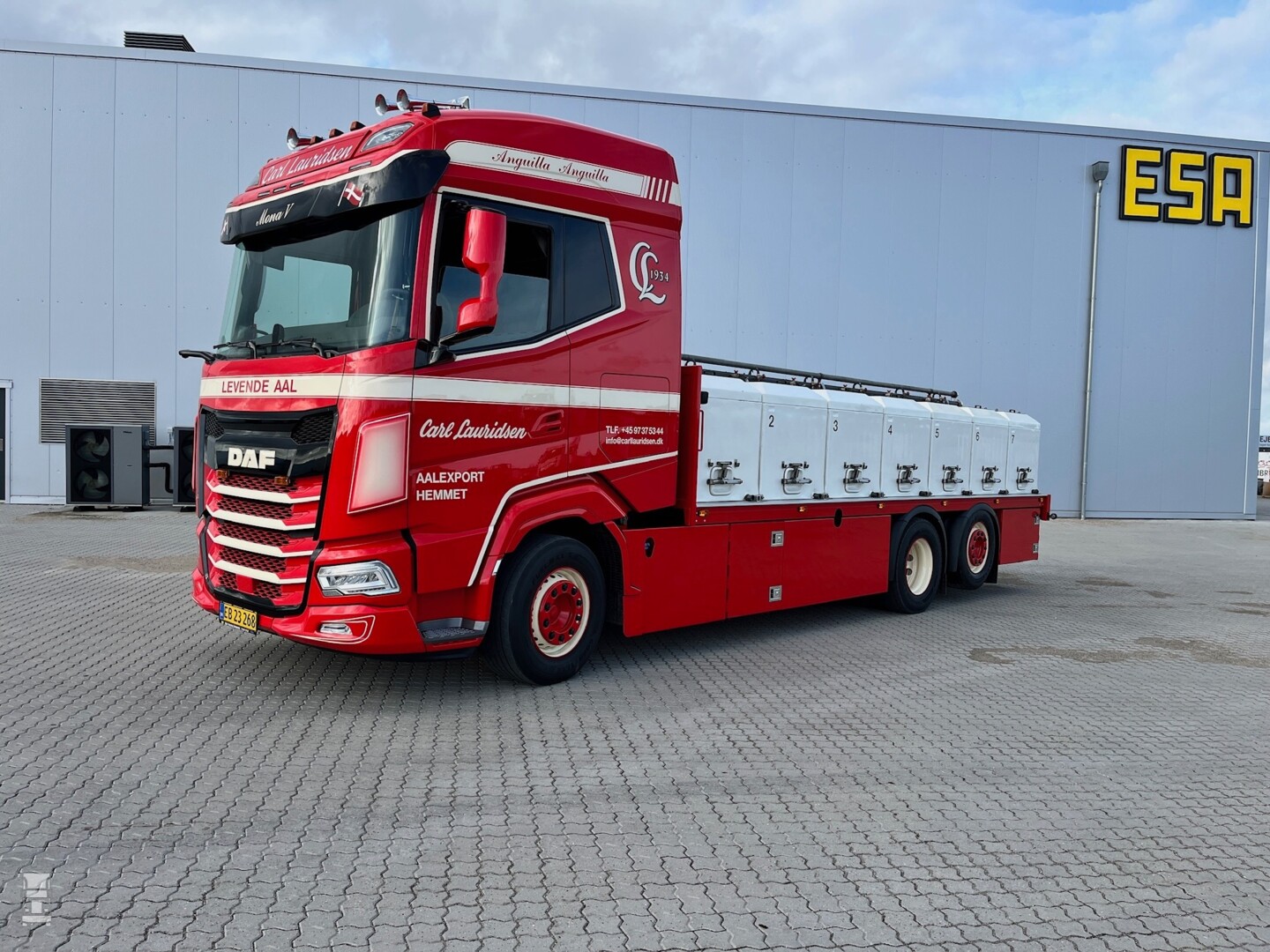 DAF XG vervoert levende paling